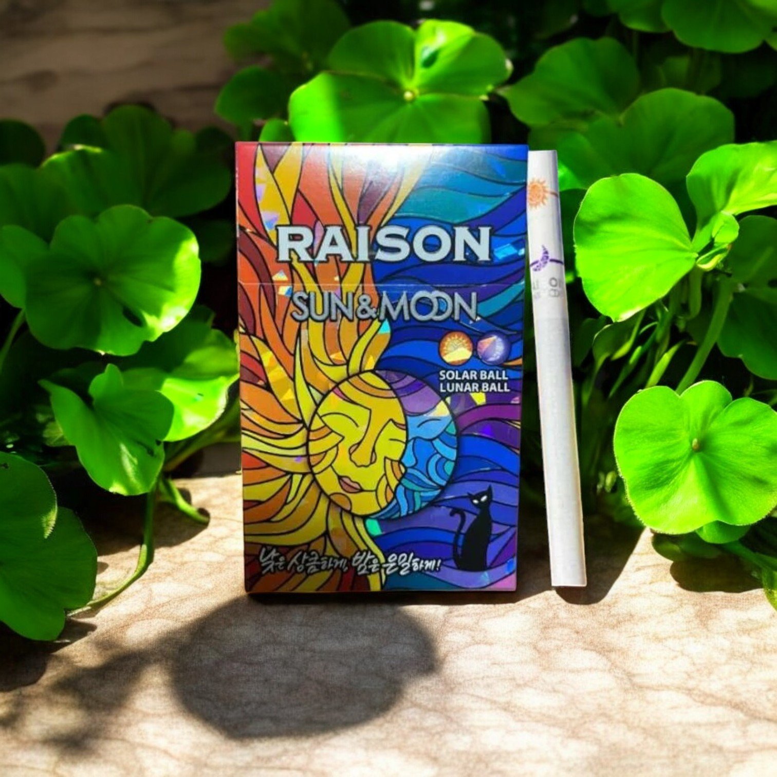 Raison Sun & Moon - Me-Dutyfree