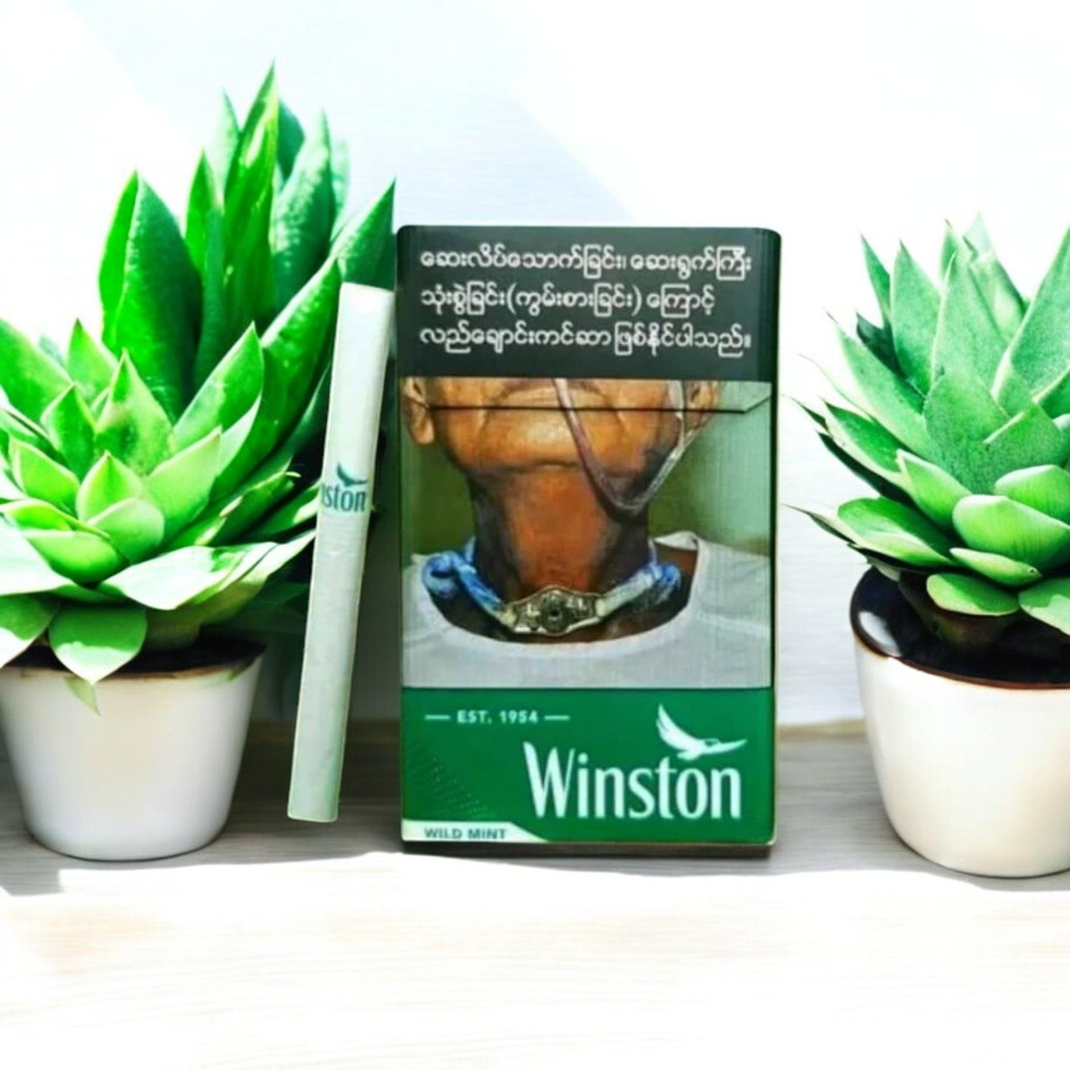 Winston Wild Mint - Me-Dutyfree