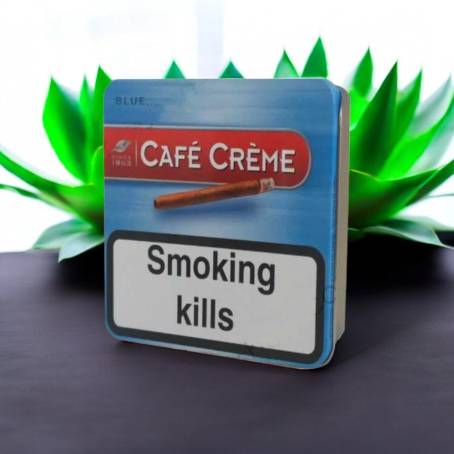 Cafe Creme Blue - Me-Dutyfree