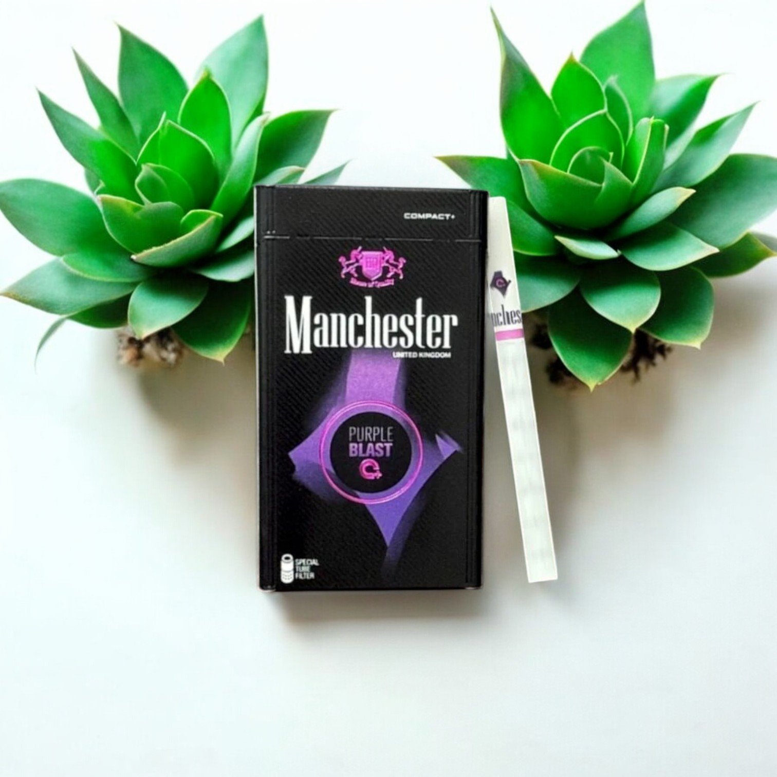 Manchester Blueberry Mint - Me-Dutyfree