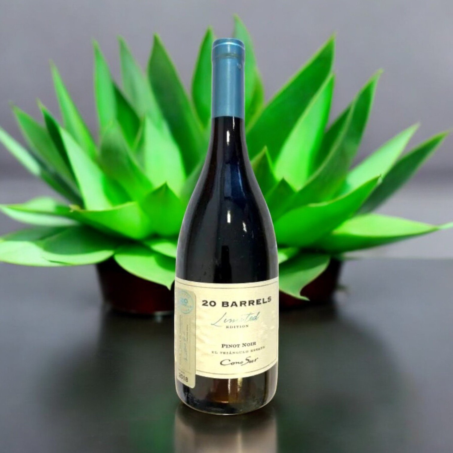 Cono Sur 20 Barrels Syrah Limited Edition 2016 - Me-Dutyfree